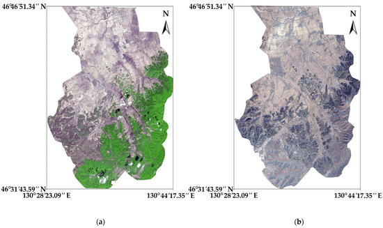 Gully Erosion Monitoring Based on Semi-Supervised Semantic Segmentation ...