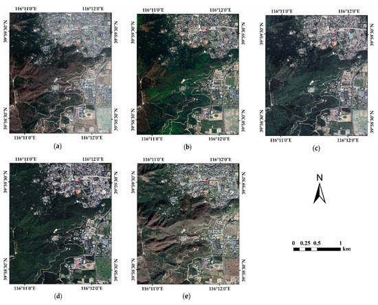 Remote Sensing | Free Full-Text | Individual Tree Species ...