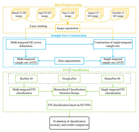 Remote Sensing | Free Full-Text | Individual Tree Species Classification Based on a Hierarchical ...