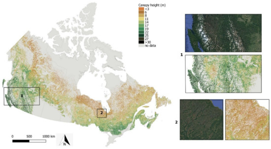 Spatially Continuous Mapping of Forest Canopy Height in Canada by ...