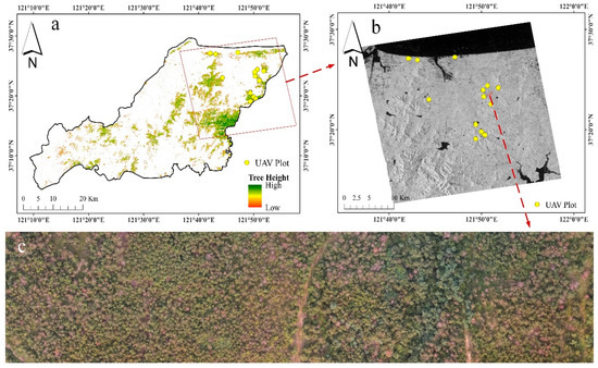 Integrating Multi-Scale Remote-Sensing Data to Monitor Severe Forest Infestation in Response to ...