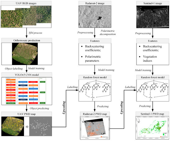 Integrating Multi-Scale Remote-Sensing Data to Monitor Severe Forest Infestation in Response to ...