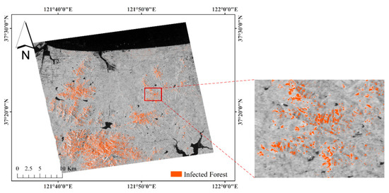 Integrating Multi-Scale Remote-Sensing Data to Monitor Severe Forest Infestation in Response to ...