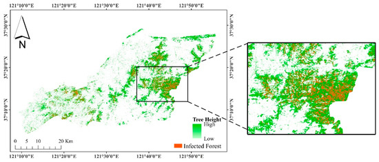 Integrating Multi-Scale Remote-Sensing Data to Monitor Severe Forest Infestation in Response to ...
