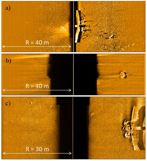 Application of Remote Sensing Techniques to Identification of ...