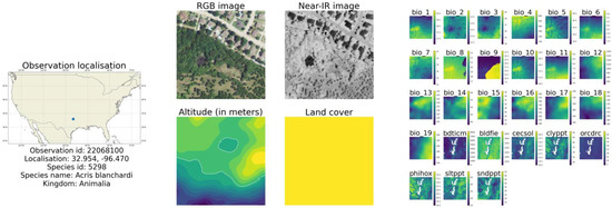 Plant and Animal Species Recognition Based on Dynamic Vision ...