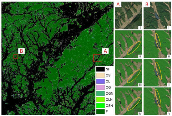 A Comparison of Random Forest Algorithm-Based Forest Extraction with GF ...