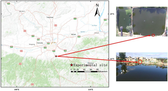 Retrieval of Water Quality Parameters Based on Near-Surface Remote ...