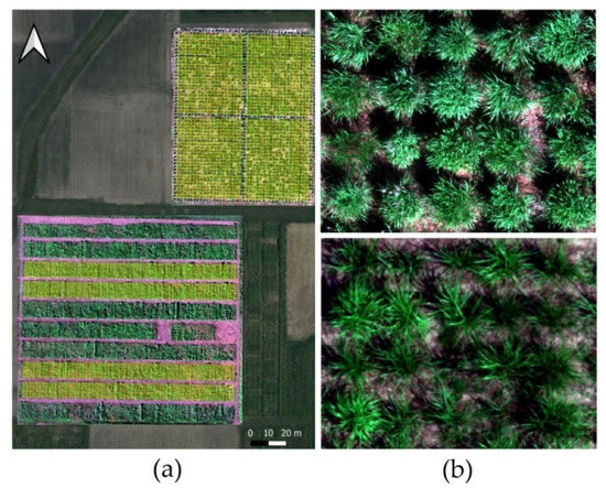 Deep Convolutional Neural Networks Exploit High Spatial And Temporal Resolution Aerial Imagery