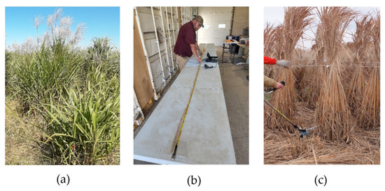 Remote Sensing Free Full Text Deep Convolutional Neural Networks Exploit High Spatial And