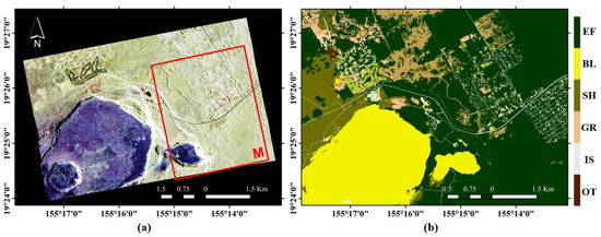 Distributed Scatterer Processing Based on Binary Partition Trees with Multi-Baseline PolInSAR Data