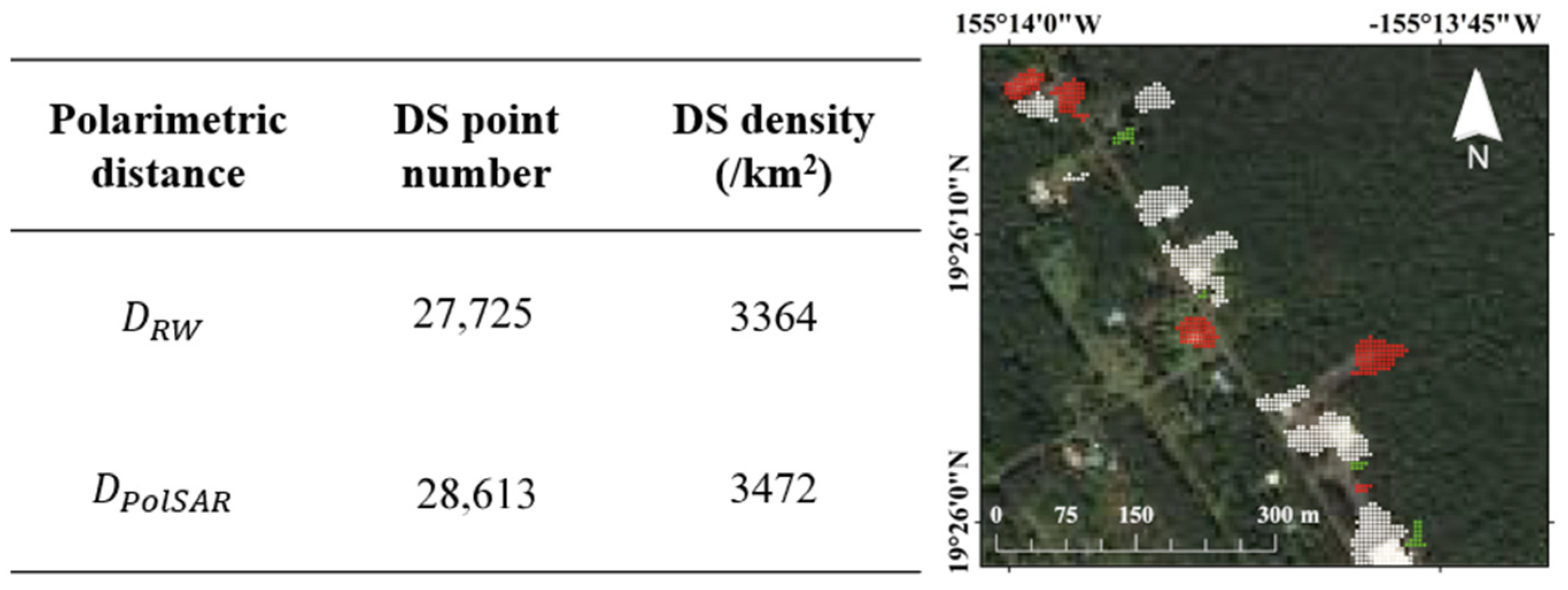 Distributed Scatterer Processing Based on Binary Partition Trees with Multi-Baseline PolInSAR Data