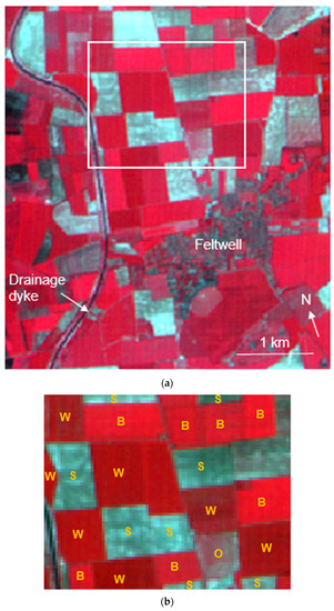 Global and Local Assessment of Image Classification Quality on an ...