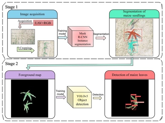 Remote Sensing Free Full Text Detection And Counting Of Maize