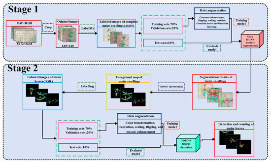 Detection And Counting Of Maize Leaves Based On Two Stage Deep Learning With Uav Based Rgb Image