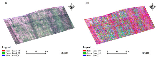 Retrieving SPAD Values of Summer Maize Using UAV Hyperspectral Data Based on Multiple Machine ...