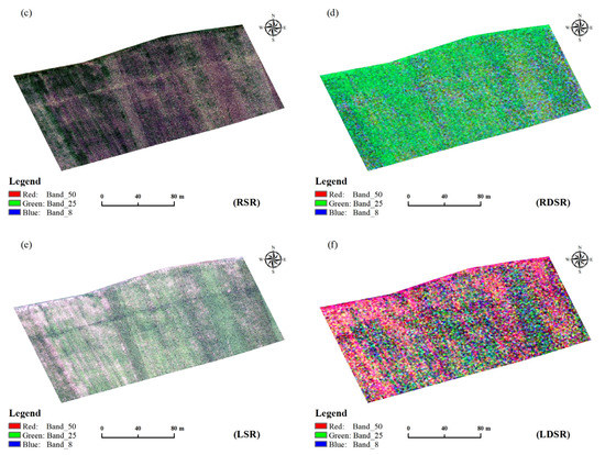 Retrieving SPAD Values of Summer Maize Using UAV Hyperspectral Data Based on Multiple Machine ...