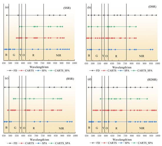 Retrieving SPAD Values of Summer Maize Using UAV Hyperspectral Data Based on Multiple Machine ...
