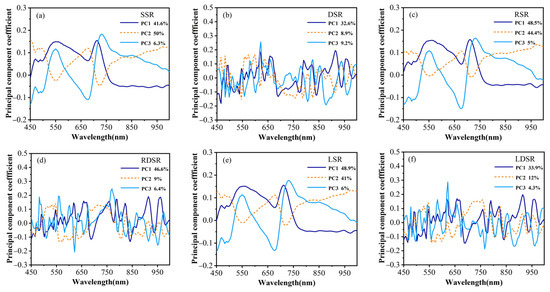 Retrieving SPAD Values of Summer Maize Using UAV Hyperspectral Data Based on Multiple Machine ...
