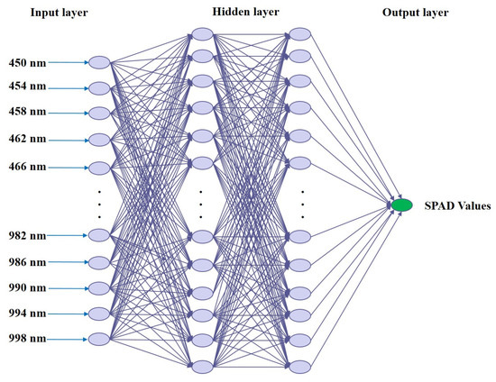Retrieving SPAD Values of Summer Maize Using UAV Hyperspectral Data Based on Multiple Machine ...