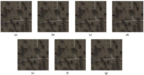 Remote Sensing | Free Full-Text | A Review of Image Super-Resolution ...