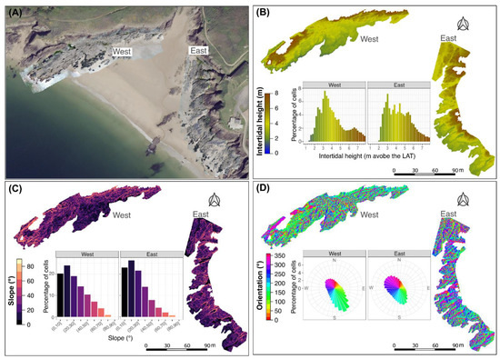 High-Resolution Drone Images Show That the Distribution of Mussels ...