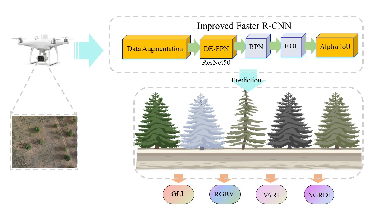 Remote Sensing Free Full Text Individual Tree Detection In Coal Mine Afforestation Area