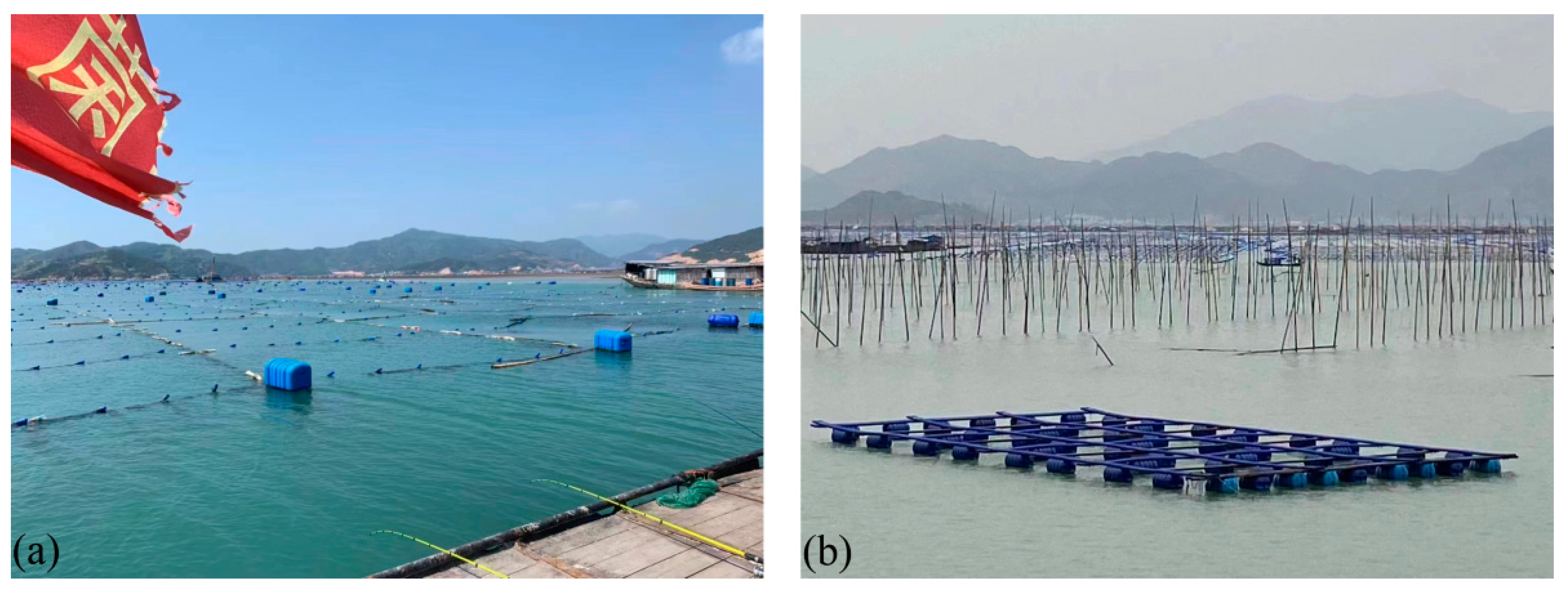 Comparative Study of Marine Ranching Recognition in Multi-Temporal High-Resolution Remote ...