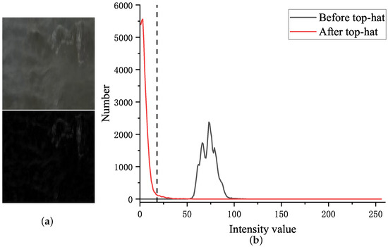 Using Optical Flow Trajectories to Detect Whitecaps in Light-Polluted ...