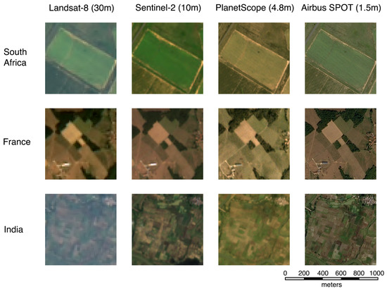 Remote Sensing | Free Full-Text | Unlocking Large-Scale Crop Field ...