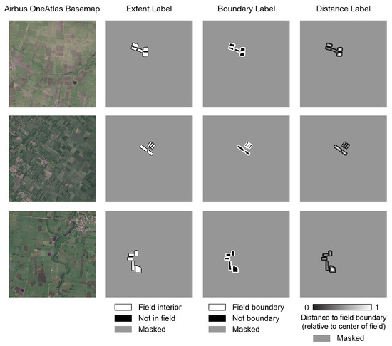 Unlocking Large-Scale Crop Field Delineation in Smallholder Farming ...