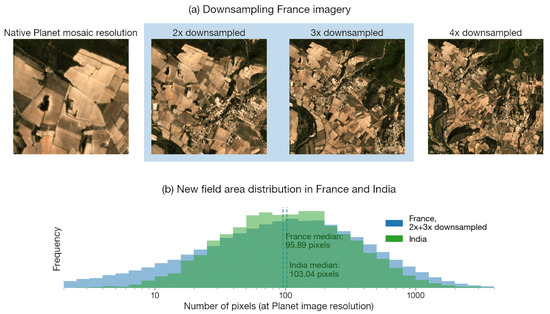 Unlocking Large-Scale Crop Field Delineation in Smallholder Farming ...
