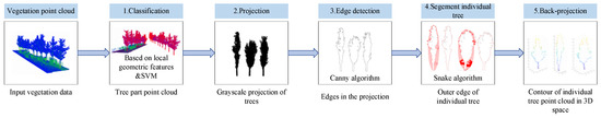 Individual Tree Segmentation from Side-View LiDAR Point Clouds of ...