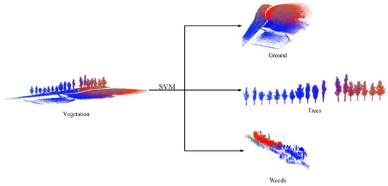 Remote Sensing | Free Full-Text | Individual Tree Segmentation from Side-View LiDAR Point Clouds ...