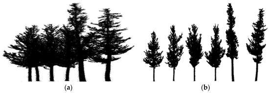 Remote Sensing | Free Full-Text | Individual Tree Segmentation from Side-View LiDAR Point Clouds ...