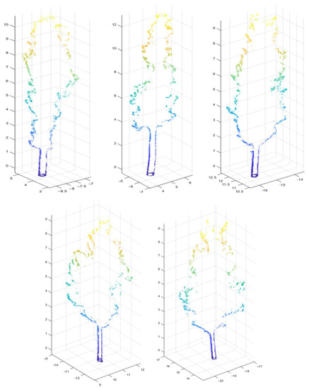 Individual Tree Segmentation from Side-View LiDAR Point Clouds of Street Trees Using Shadow-Cut