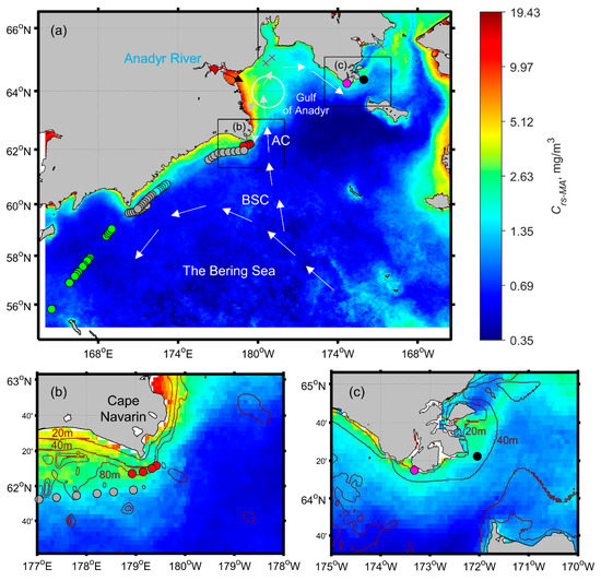 Remote Sensing | Free Full-Text | Developing and Using Empirical Bio-Optical Algorithms in the ...
