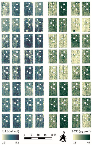 Comparison of PROSAIL Model Inversion Methods for Estimating Leaf ...