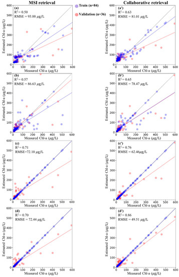 Physical-Based Spatial-Spectral Deep Fusion Network for Chlorophyll-a Estimation Using MODIS and ...