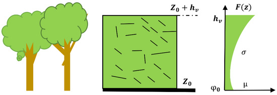 A Method for Forest Canopy Height Inversion Based on Machine Learning and Feature Mining Using ...