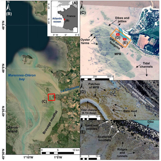 A Machine-Learning Approach to Intertidal Mudflat Mapping Combining Multispectral Reflectance ...