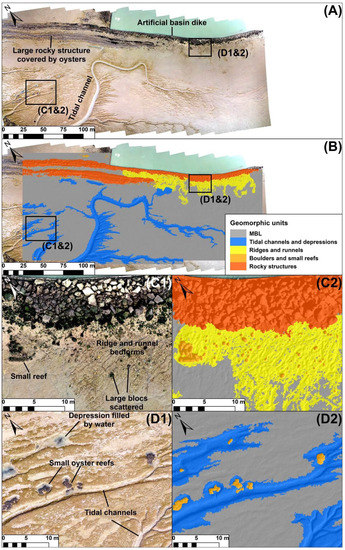 A Machine-Learning Approach to Intertidal Mudflat Mapping Combining Multispectral Reflectance ...