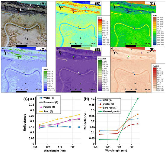 A Machine-Learning Approach to Intertidal Mudflat Mapping Combining ...
