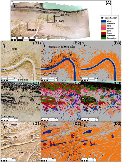 A Machine-Learning Approach to Intertidal Mudflat Mapping Combining ...
