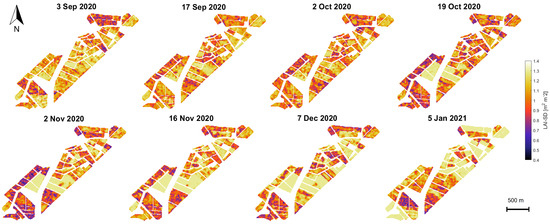 Quantifying Irrigated Winter Wheat LAI in Argentina Using Multiple ...