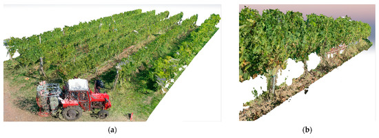 Vine Canopy Reconstruction and Assessment with Terrestrial Lidar and ...