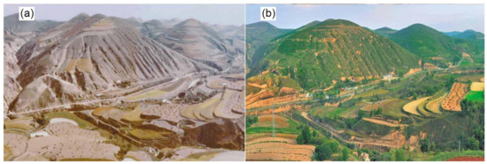 Construction and Optimization of Ecological Security Pattern in the Loess Plateau of China Based ...