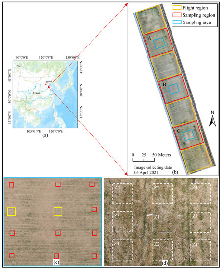 Plant Density Estimation Using UAV Imagery and Deep Learning