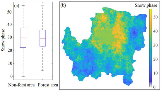 Snow Depth Inversion in Forest Areas from Sentinel-1 Data Based on Phase Deviation Correction