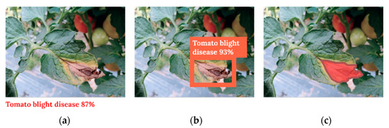 Plant Disease Diagnosis Using Deep Learning Based on Aerial ...
